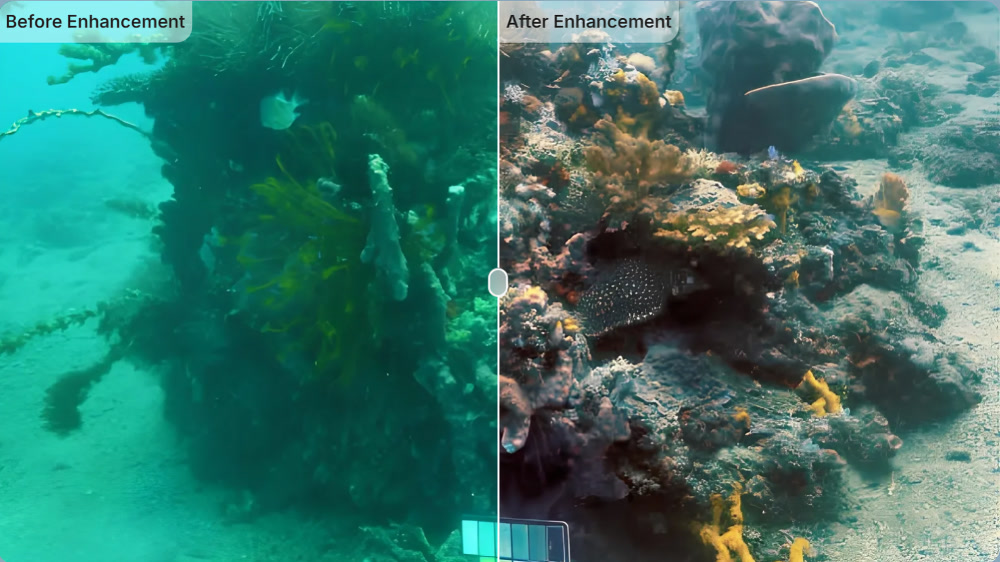 Enhancing Underwater Video and Image Quality: The EVAP Advantage